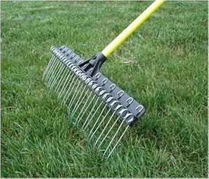 Amazon.com : Deluxe Grounds Rake - Superior Leaf Rake : Garden Rakes ...