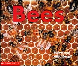 Bees (Time-to-Discover): Melvin And Gilda Berger: 9780439445382: Amazon ...