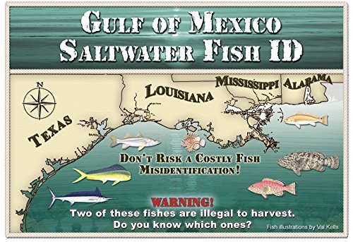Texas Gulf Fish Identification
