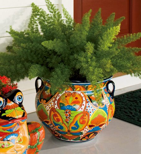 Unique flower pots | Gardening Forums