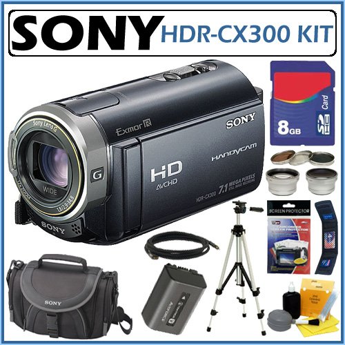 Sony HDRCX300 HDR-CX300 16GB Flash Memory High Definition Handycam ...