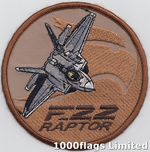 Lockheed Martin F 22 Raptor Driver Stealth Fighter Jet Desert ...