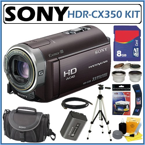 Sony HDR-CX350/V 32GB Flash Memory High Definition Handycam Camcorder ...