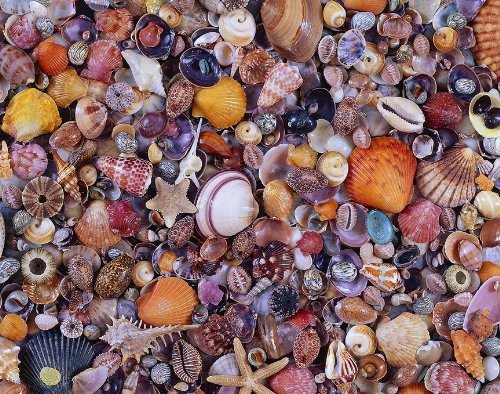 Beach Jigsaw Puzzles