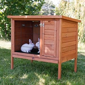 Pet rabbit hutch on Shoppinder