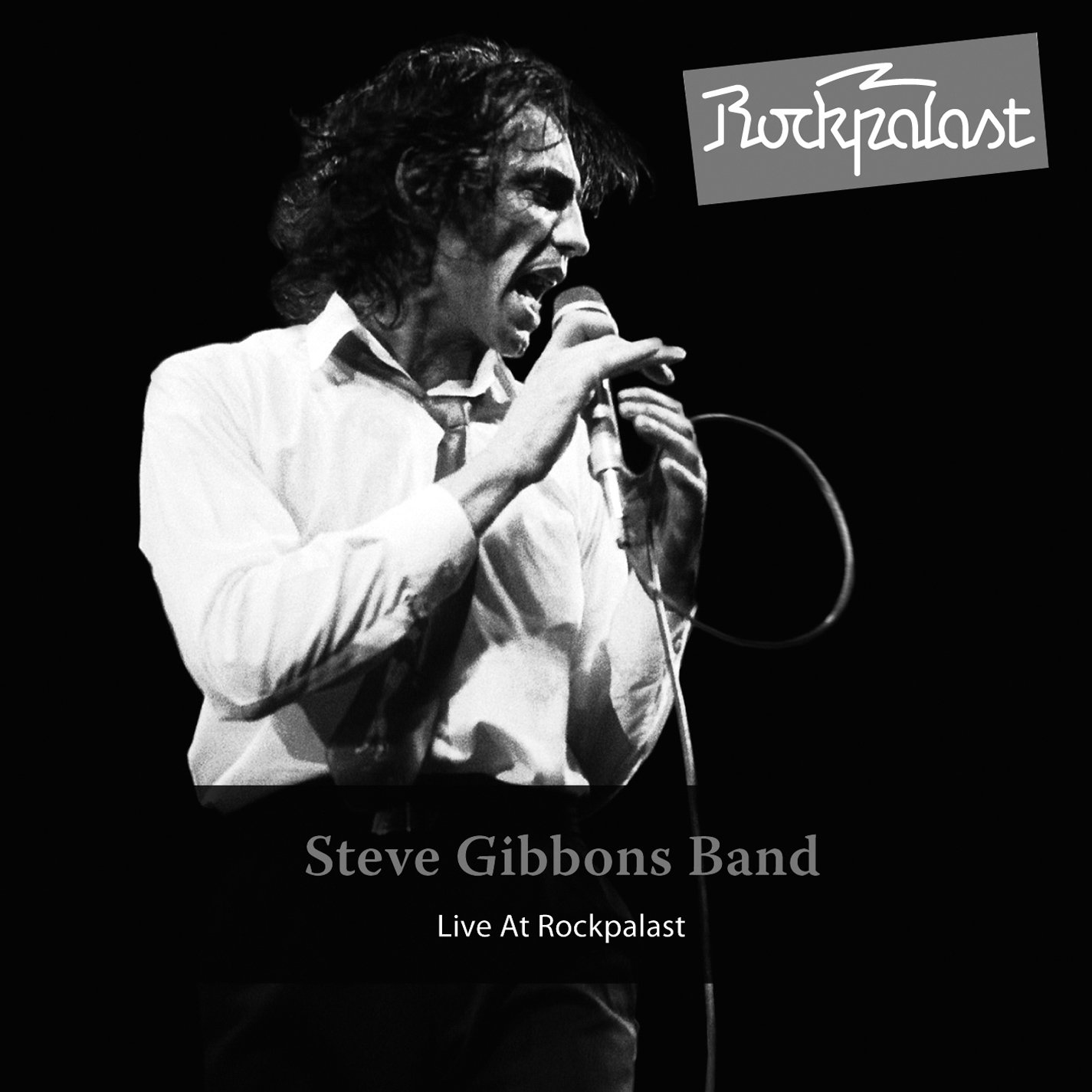 Steve Gibbons Band from Birmingham England, recommendations please ...