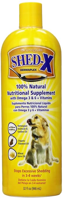 10 Must-Have Dog Health Supplements & Vitamins