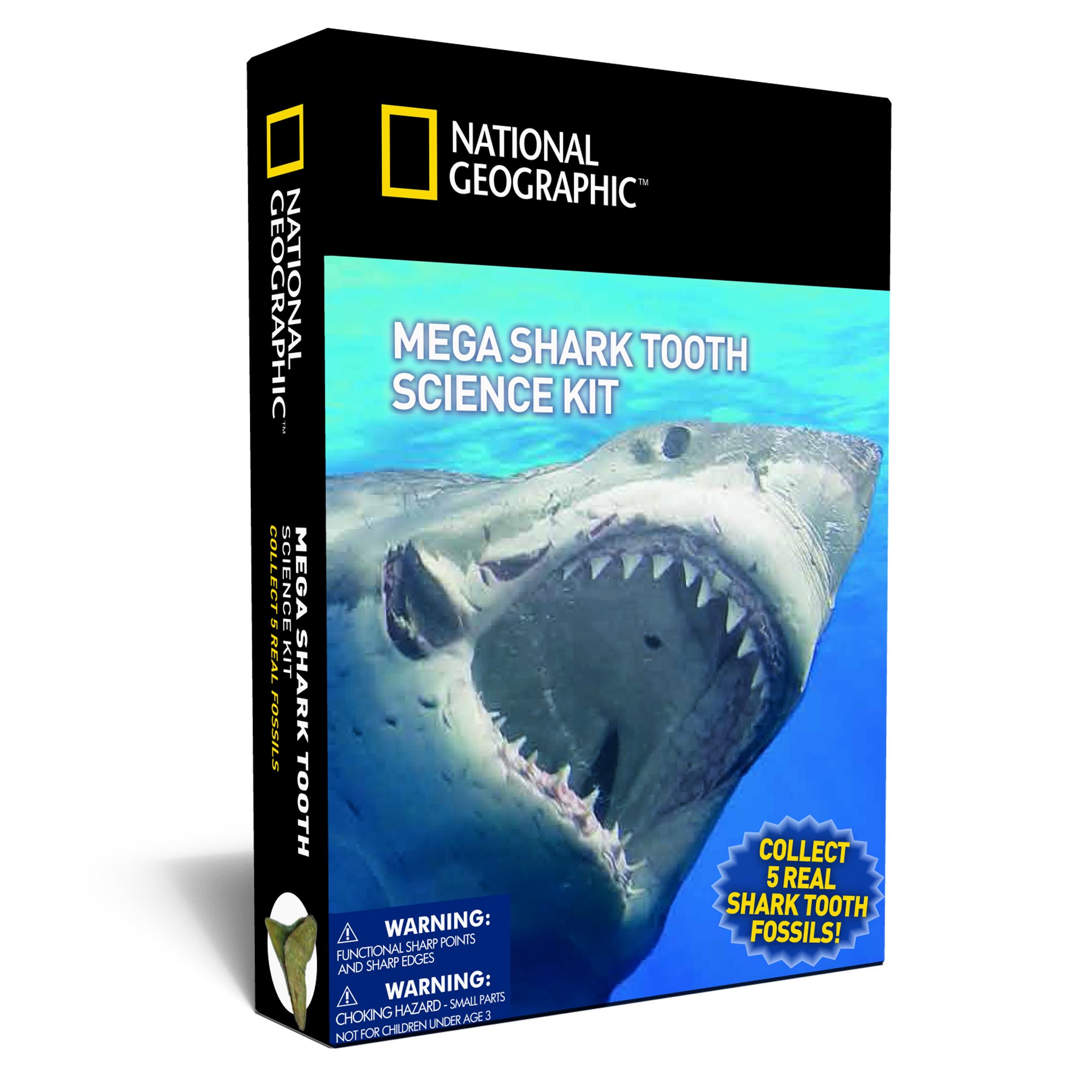 Mega Shark Tooth Science - Collect 5 Real Shark Teeth with NATIONAL ...