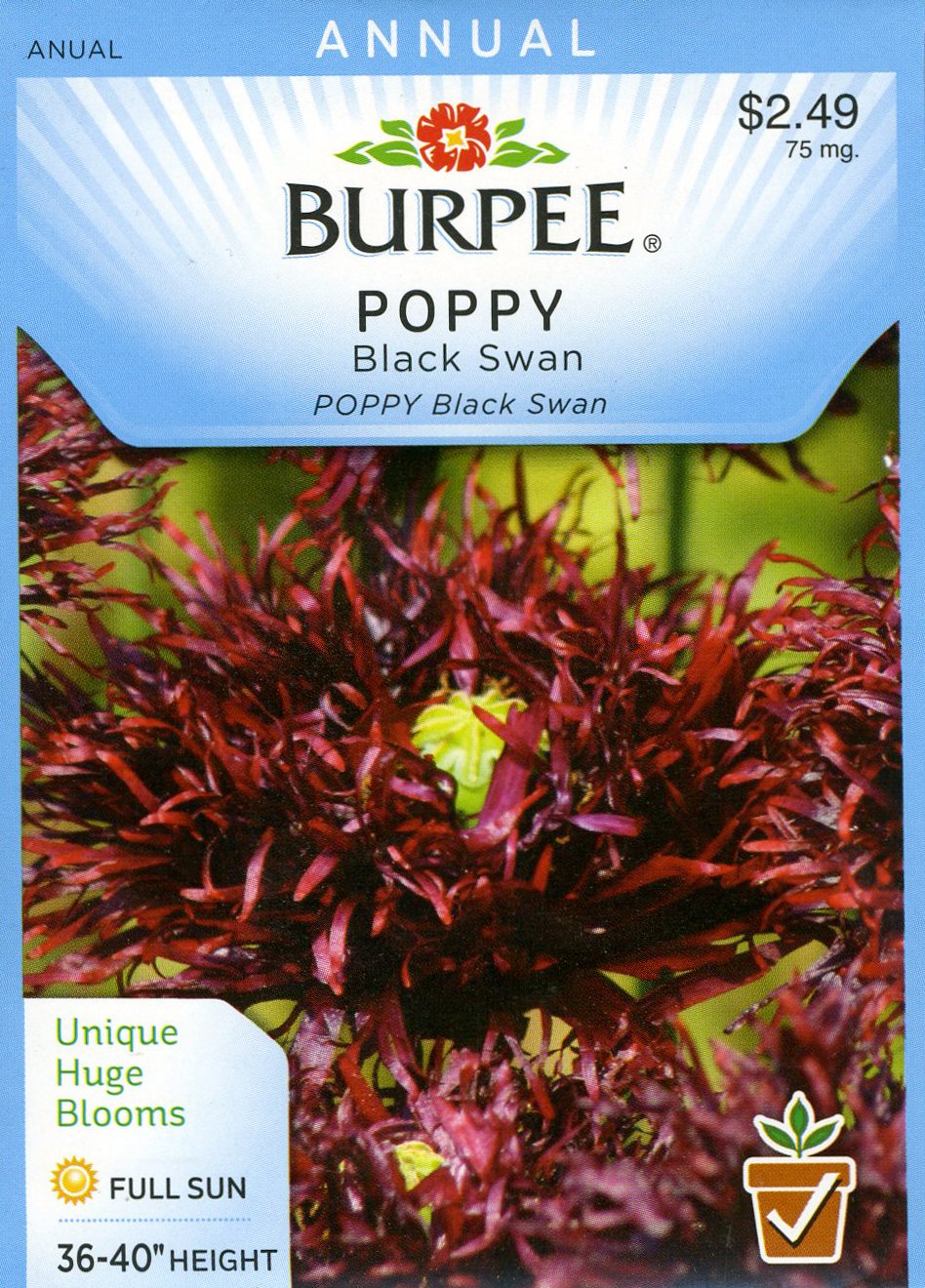 Harvesting poppy pods : r/opiates