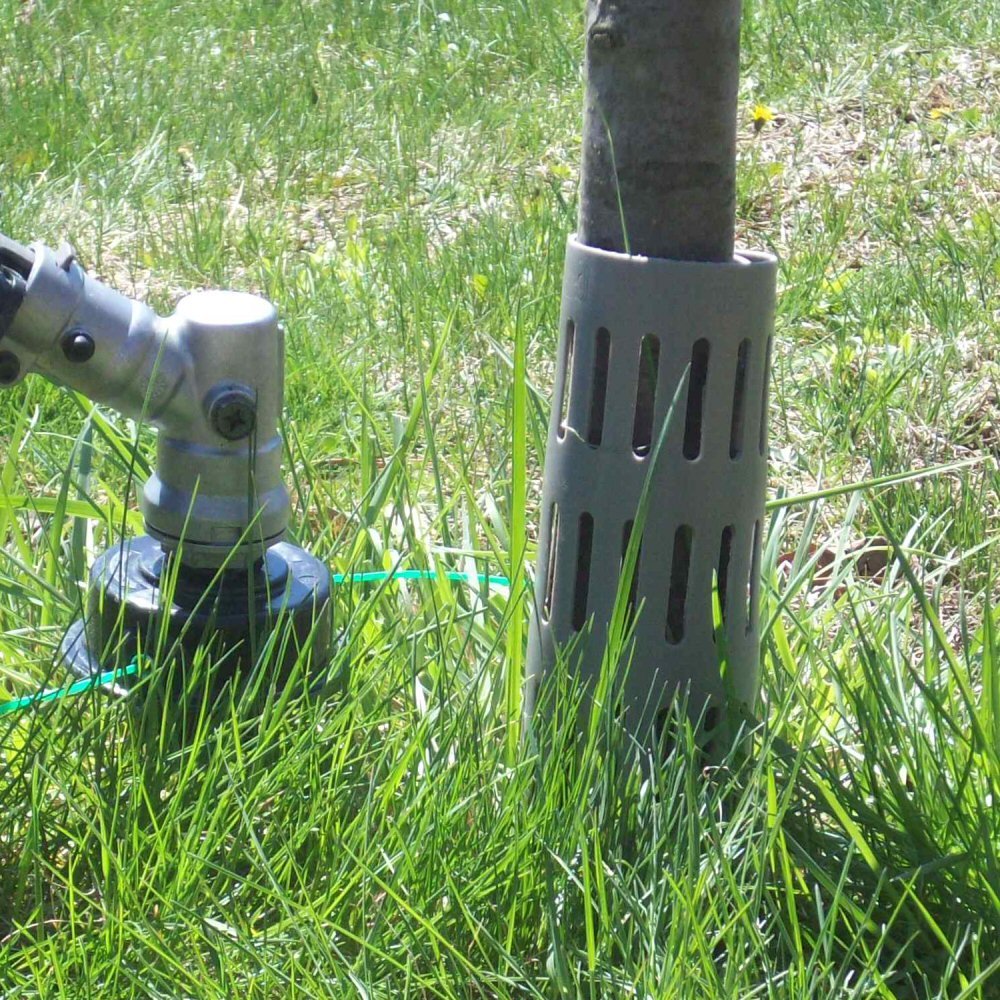 ArborGard+ 1131-6C 6 Count Tree Trunk Protectors, Grey , New, Free ...