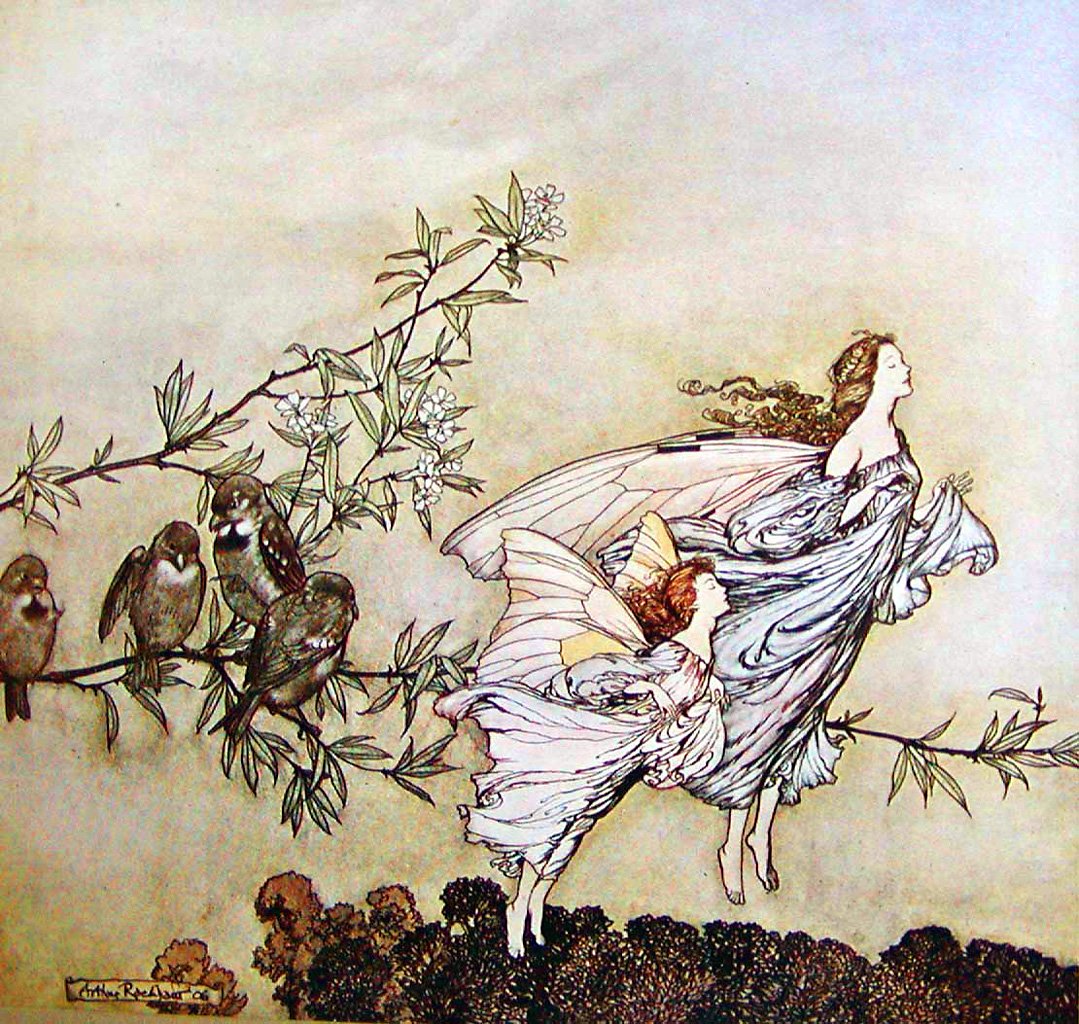 Arthur Rackham (faeries) | Arthur rackham, Fairytale art, Illustration
