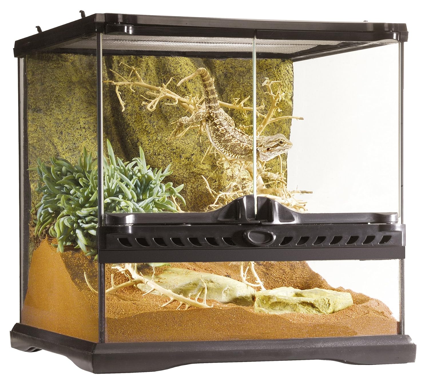 Leopard Gecko Vivarium Setup - Vivarium World