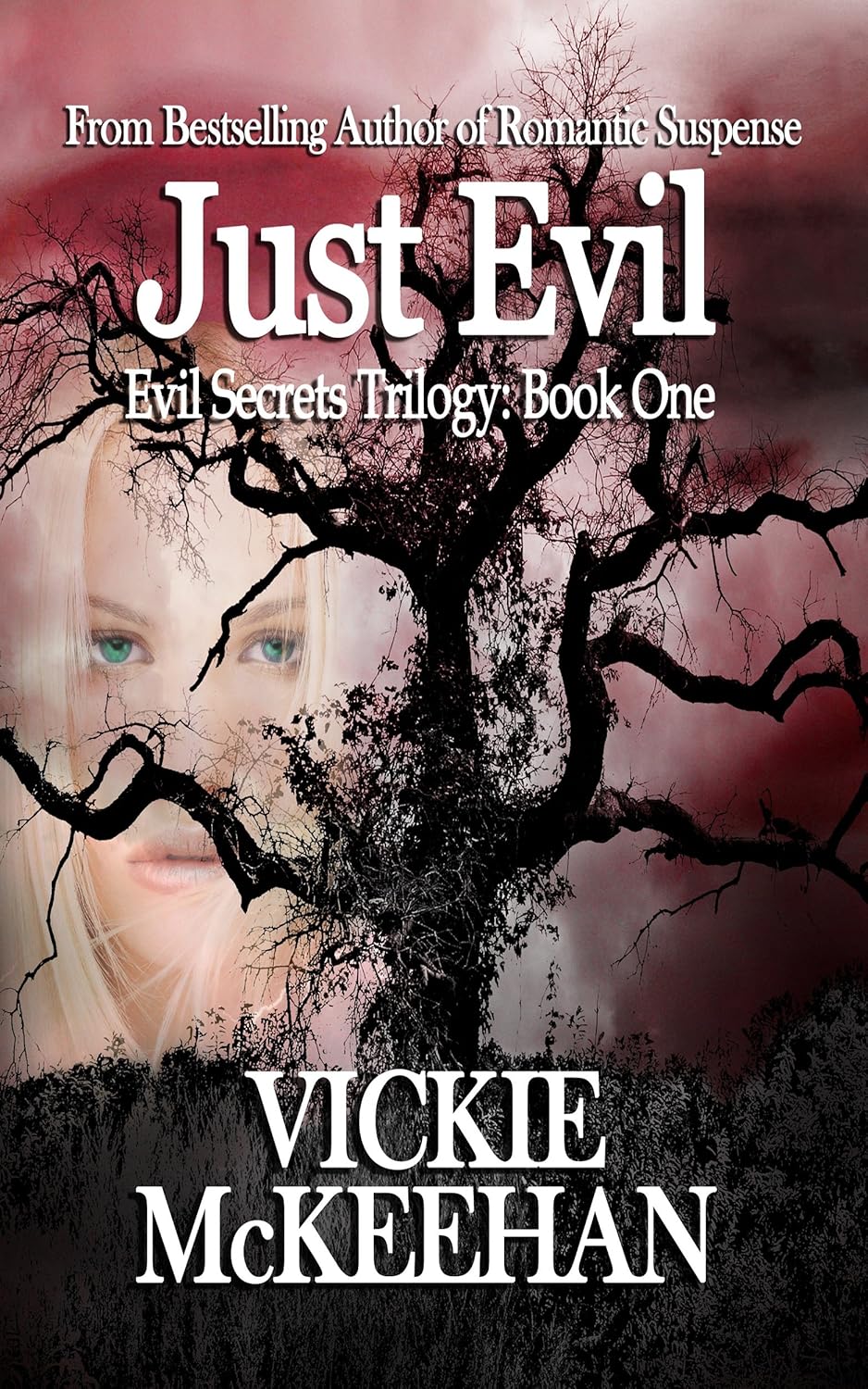 Just Evil by Vickie McKeehan - fundinmentalfundinmental